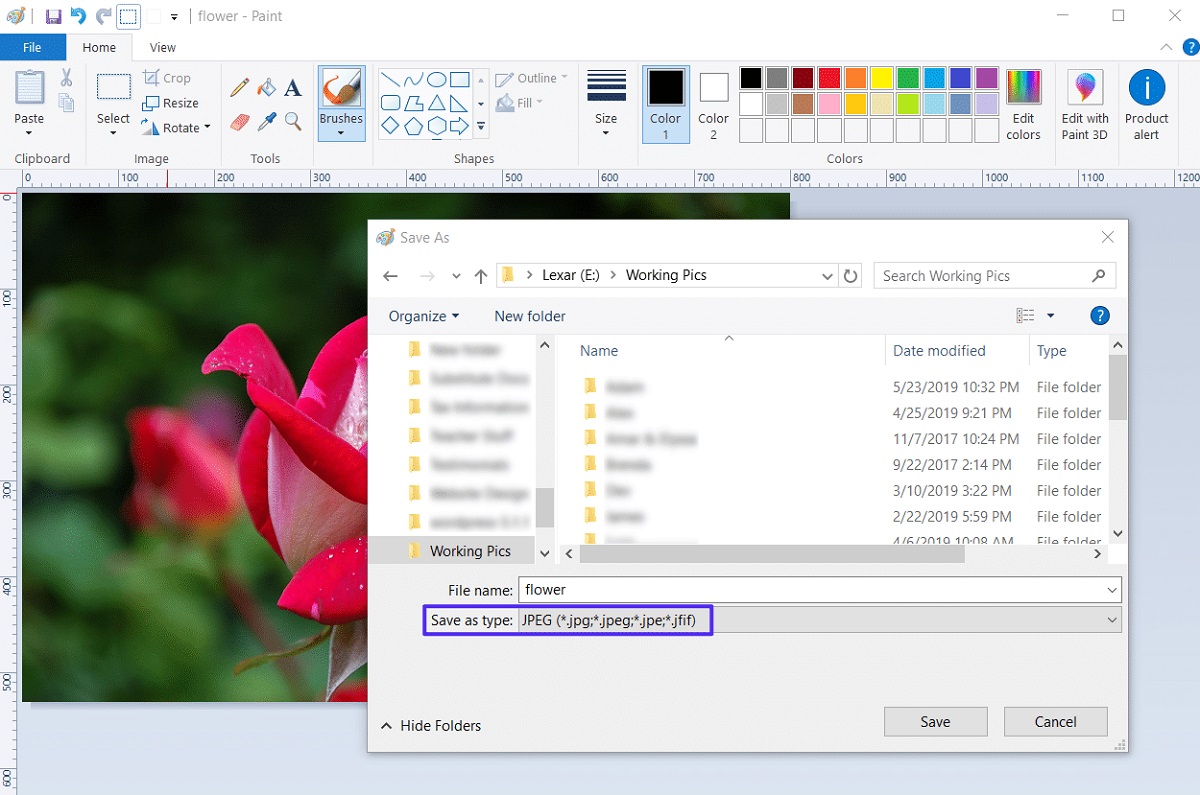 Image File Formats Explained JPEG GIF PNG TIFF Dignited