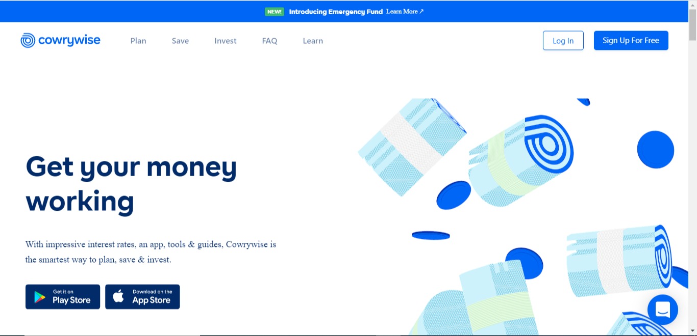 Cowrywise Savings and Investment Platform: All You Need to Know - Dignited