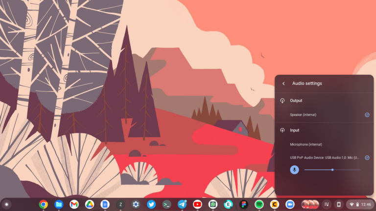 How to set up a USB Microphone or Lapel Mic on Chromebook for Quality ...