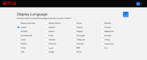 How to Customize Subtitles and Language on Netflix for Better Viewing ...