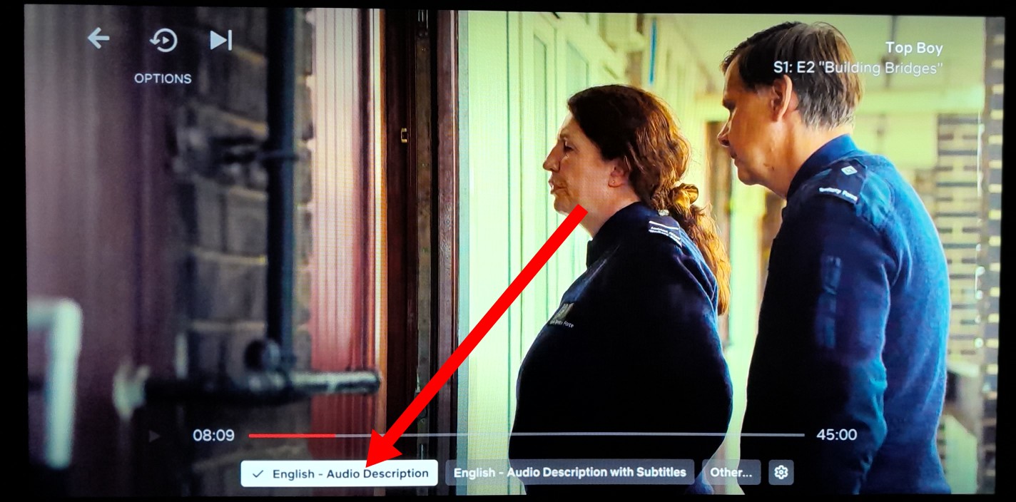 How to Turn on Audio Description on Netflix on your Smart TV - Dignited